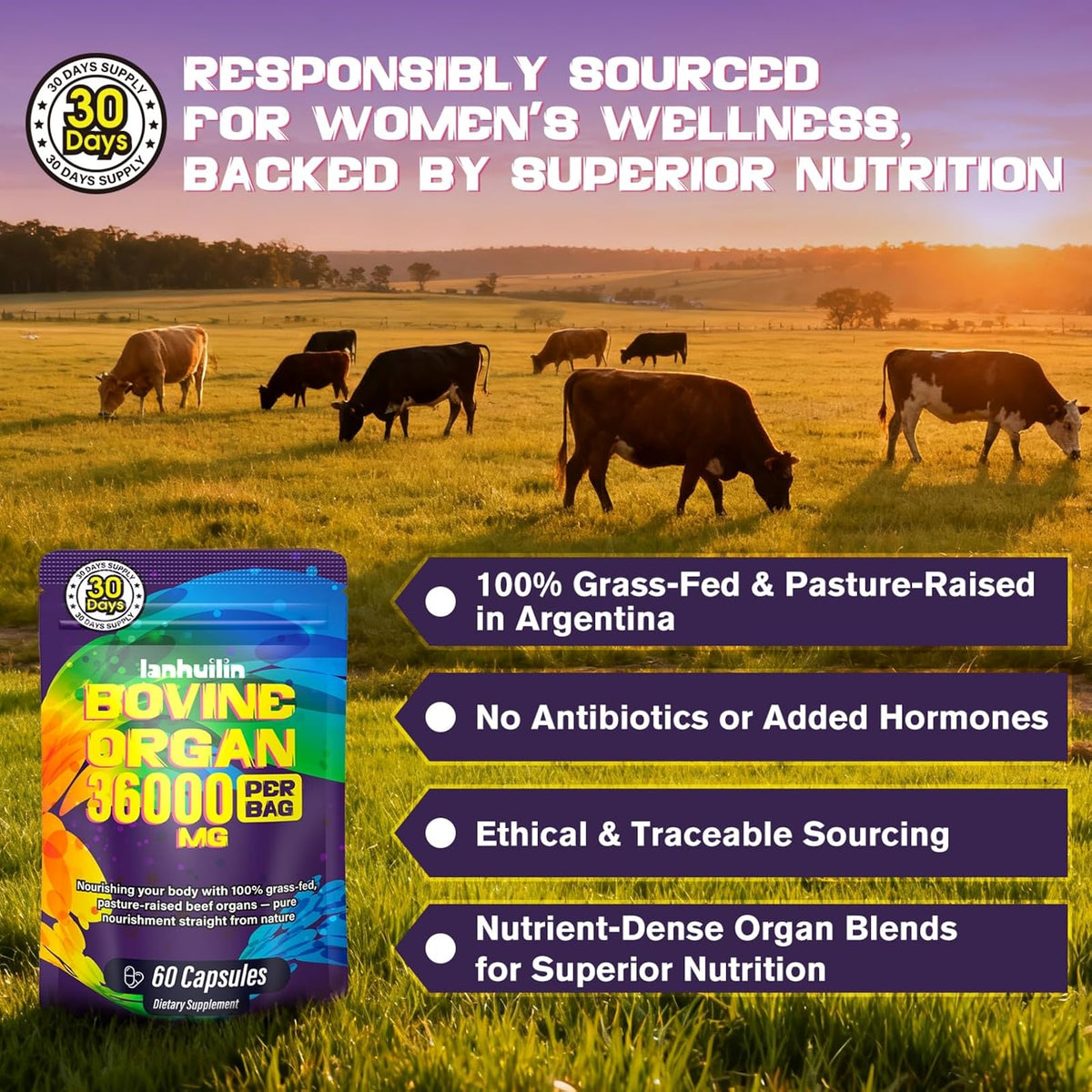 beef organ supplement for vitality