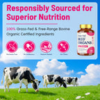 beef organ supplement for wellness
