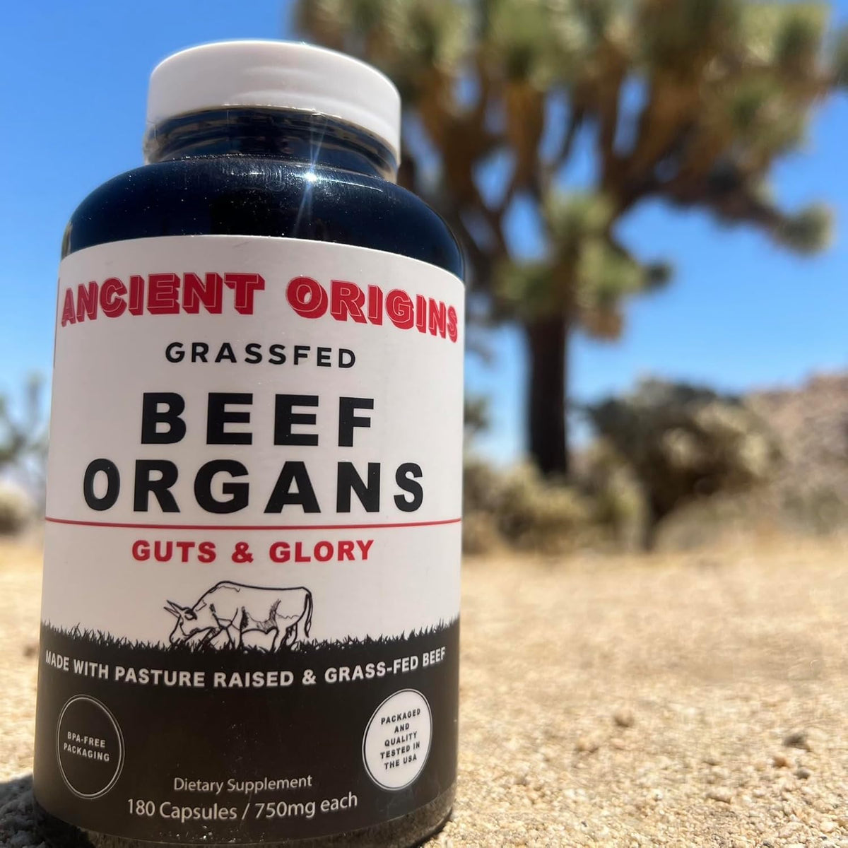 beef organs supplement for seniors