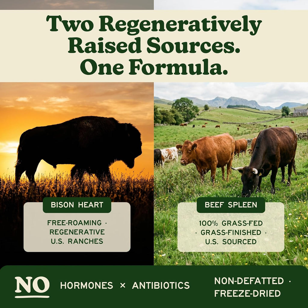 beef spleen for immune health