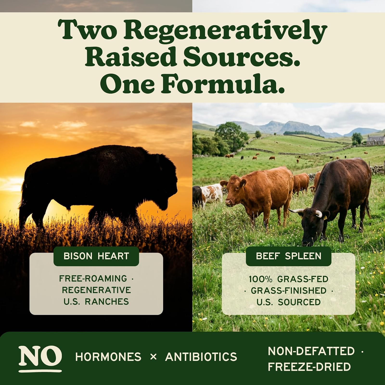 beef spleen for immune health
