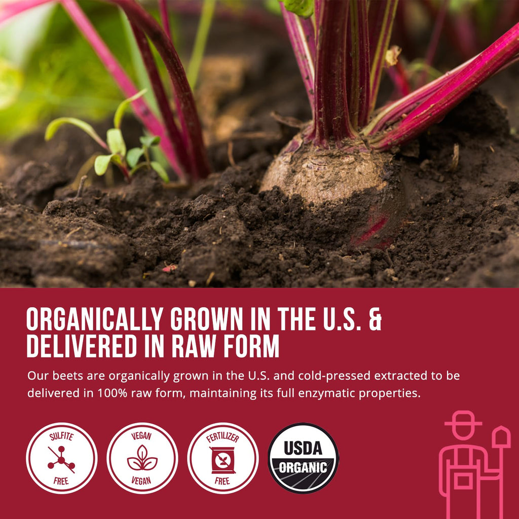 Beet juice powder for smoothies