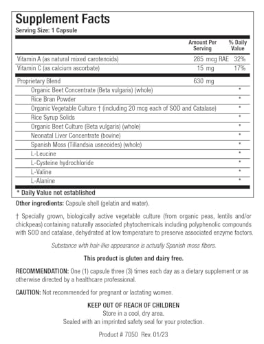Beet powder multivitamin for performance