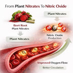 Beet root capsules for workout recovery