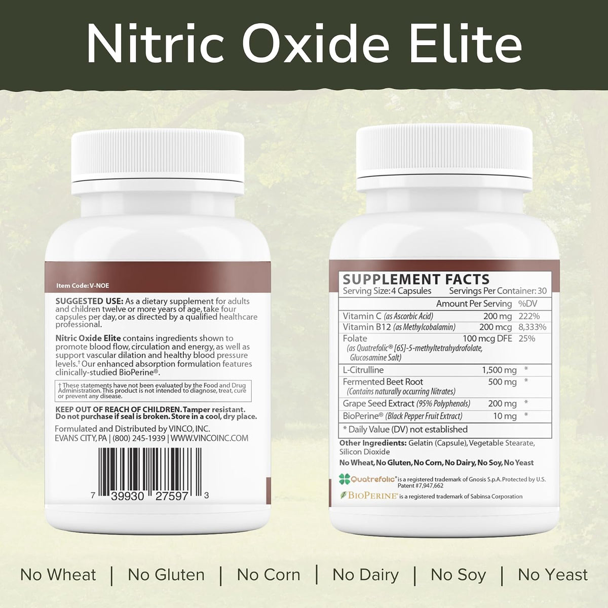 Beet root extract for improved circulation
