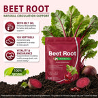 Beet root extract for improved stamina