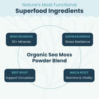 beet root infused sea moss powder