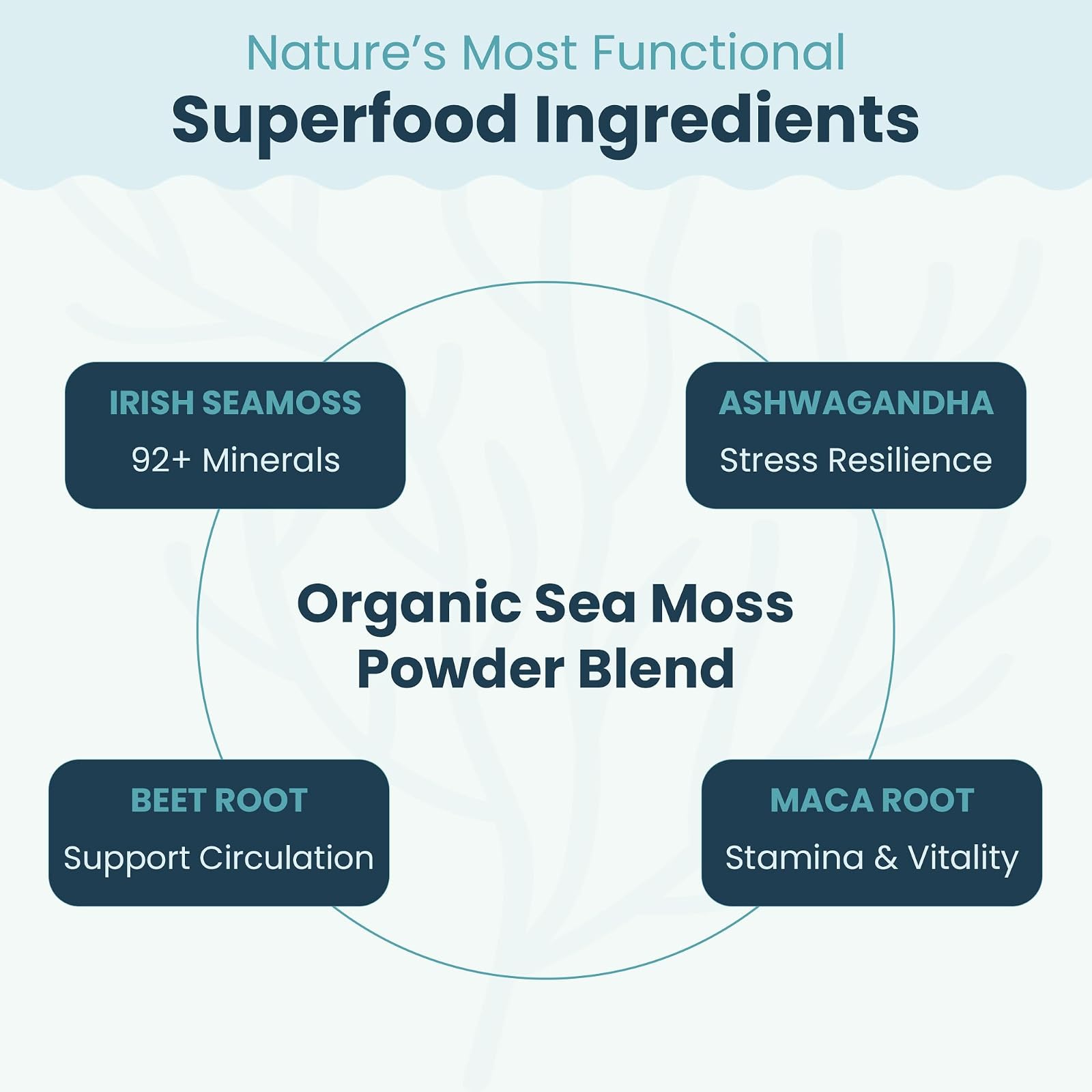 beet root infused sea moss powder