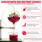 beet root multivitamin benefits