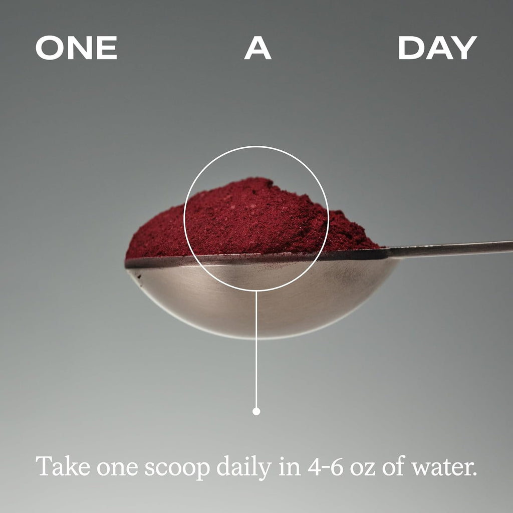 beet root powder for daily wellness
