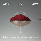 beet root powder for daily wellness