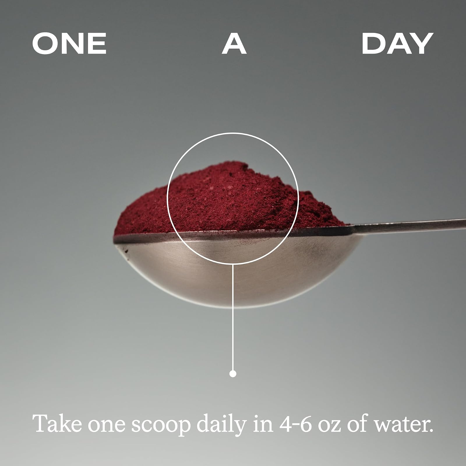 beet root powder for daily wellness