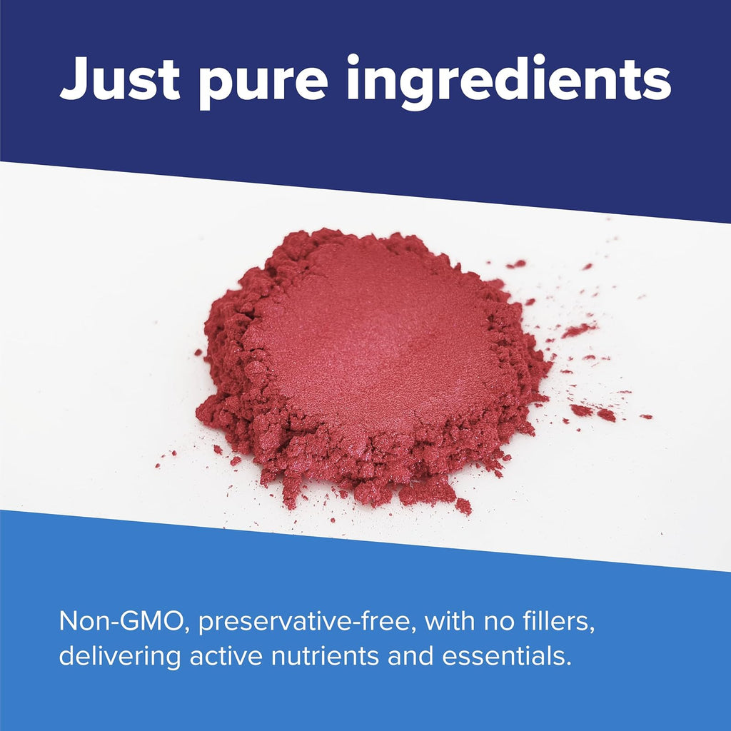 beet root powder for digestive health
