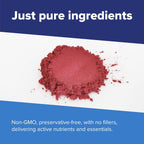 beet root powder for digestive health