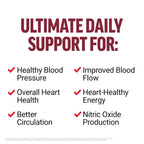 beet root powder for endurance
