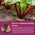 beet root powder for energy boost
