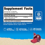 beet root powder for workout recovery
