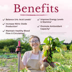 Beet root powder supports athletic performance