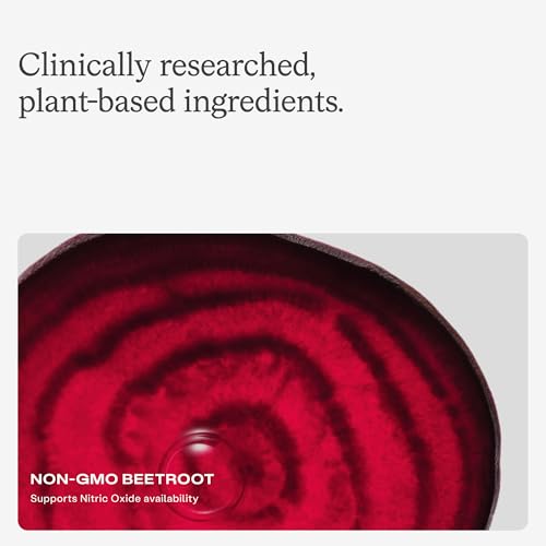 beet root powder with antioxidants