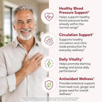 beetroot extract for workout recovery