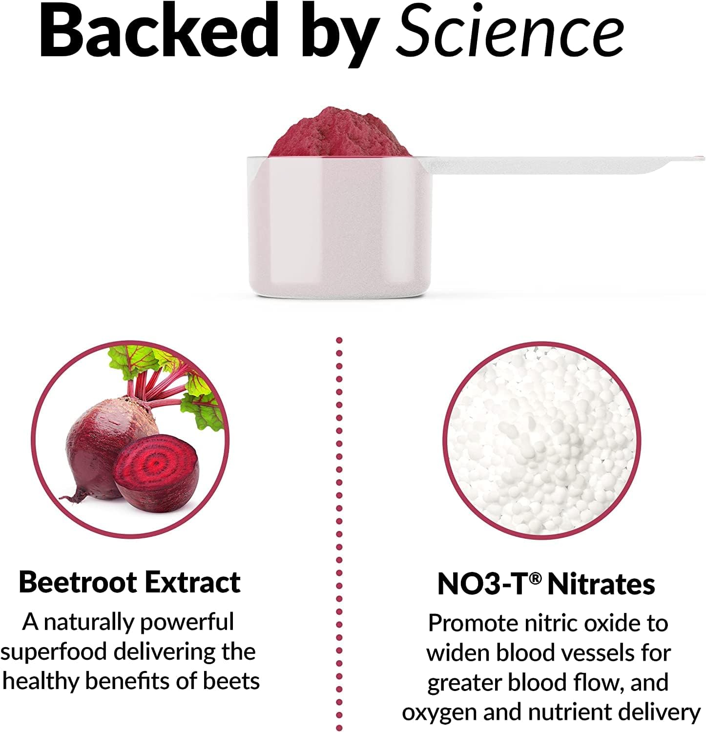 beetroot powder for enhanced endurance