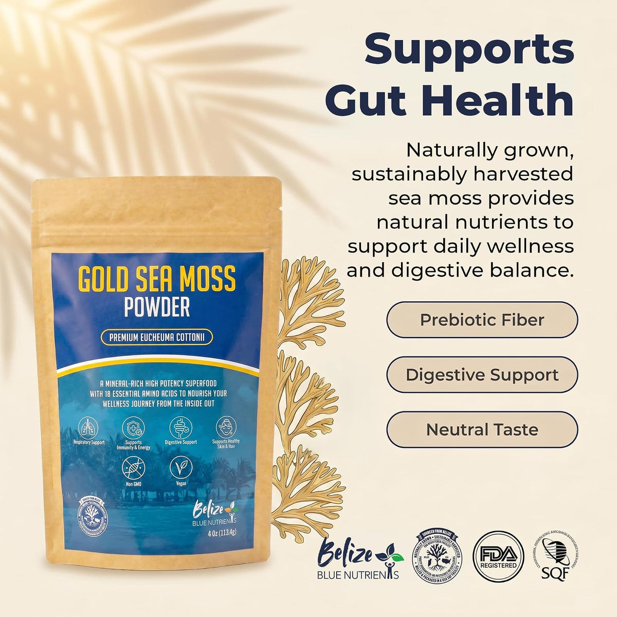Belize Blue Nutrients sea moss benefits