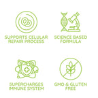 Beljanski Ginkgo capsules for mental clarity