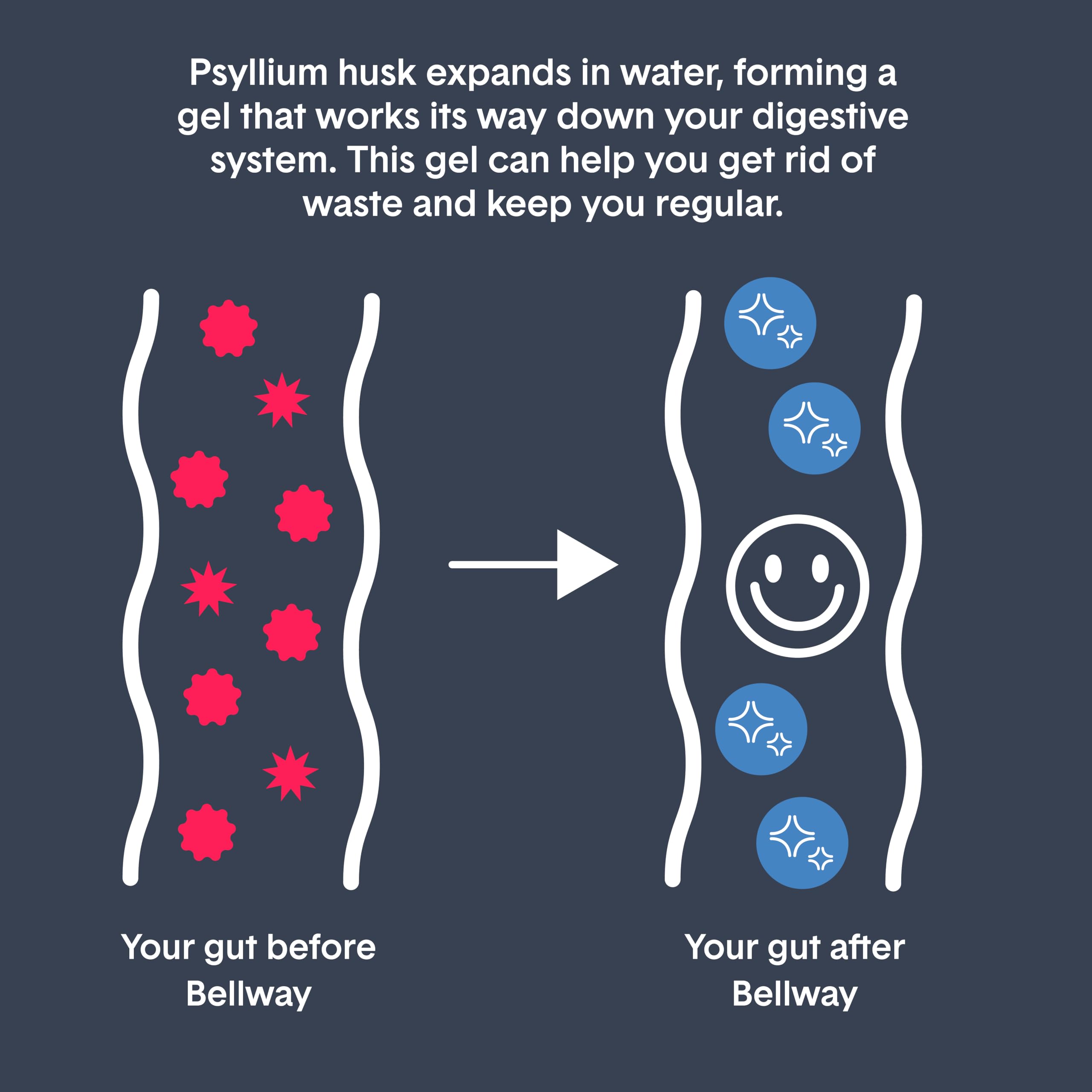 Bellway Super Fiber for digestive comfort