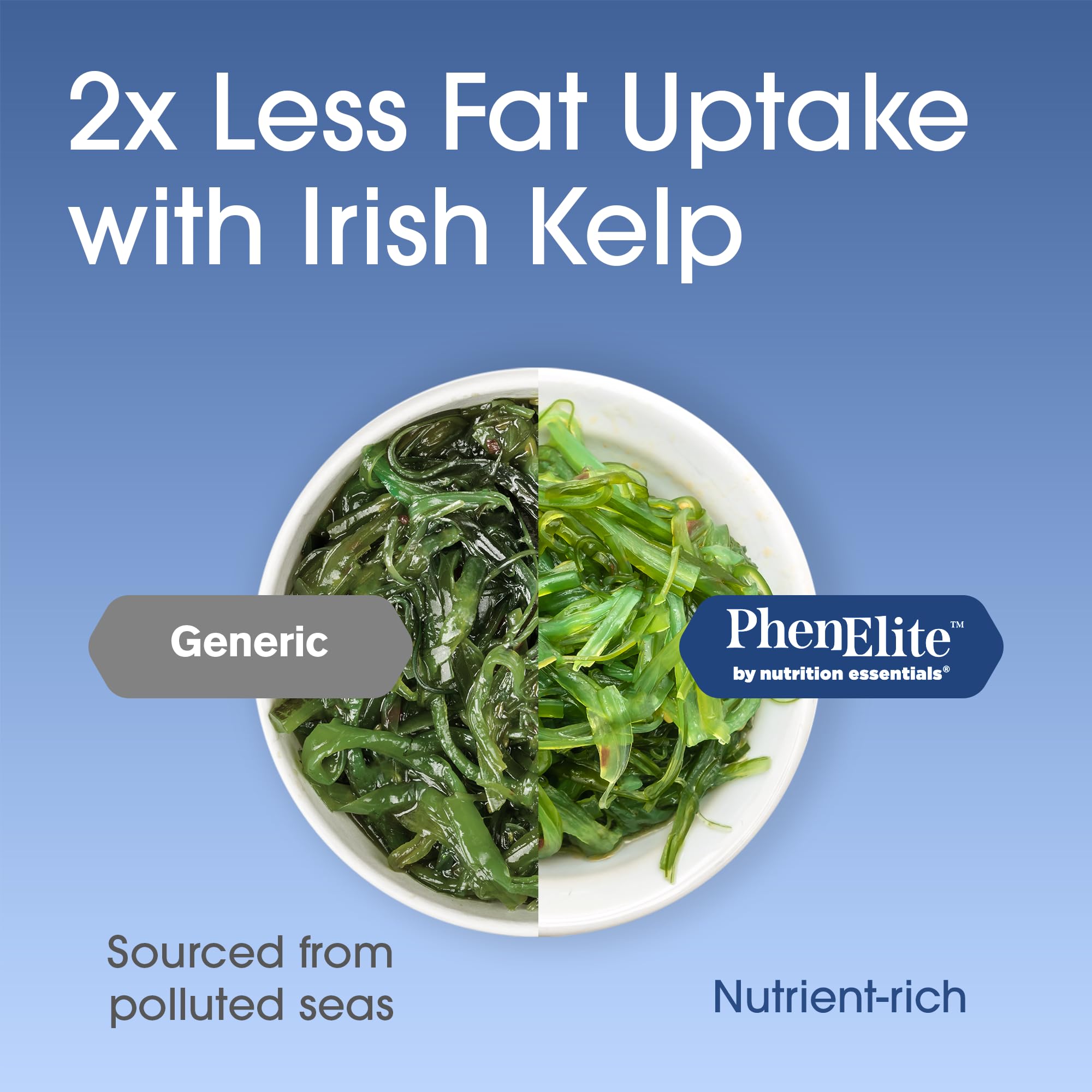 belly fat loss with raspberry ketones