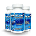 Benagene oxaloacetate multivitamin for men