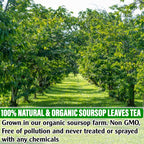 beneficial herbal tea for relaxation