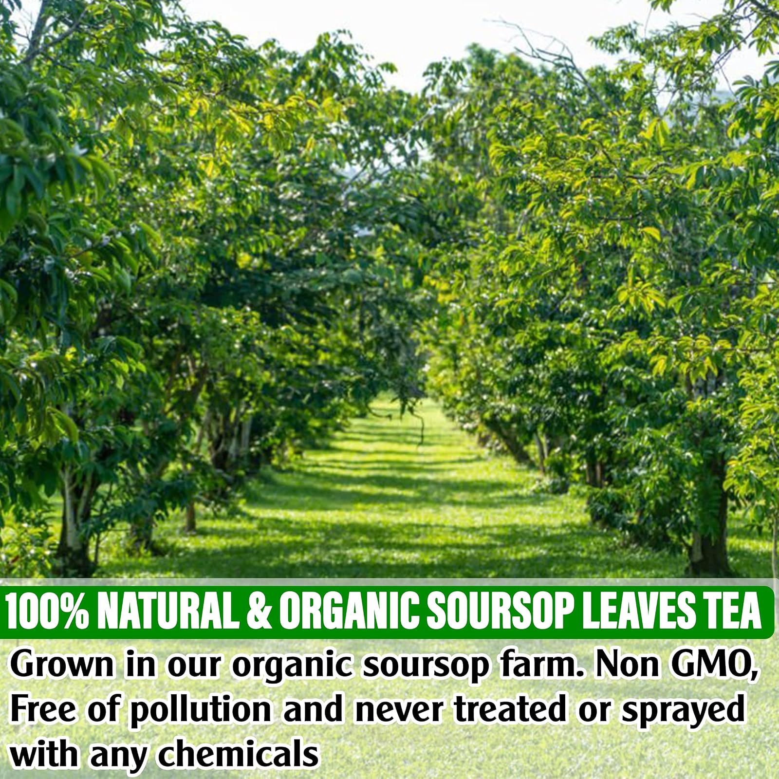 beneficial herbal tea for relaxation