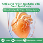 benefits of aged garlic extract