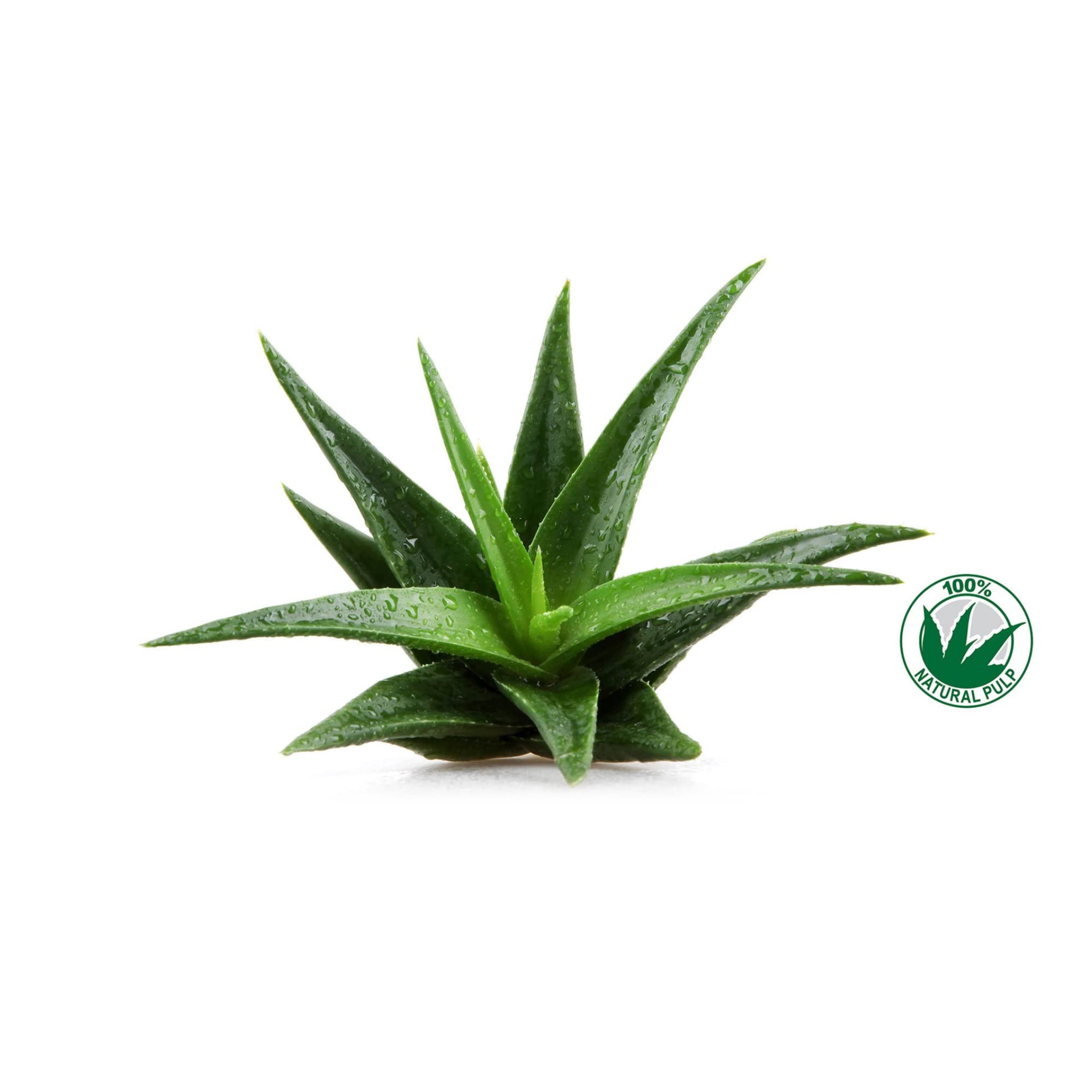 benefits of aloe vera gel