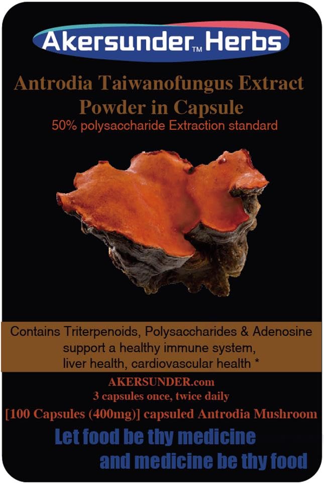 benefits of Antrodia Camphorata