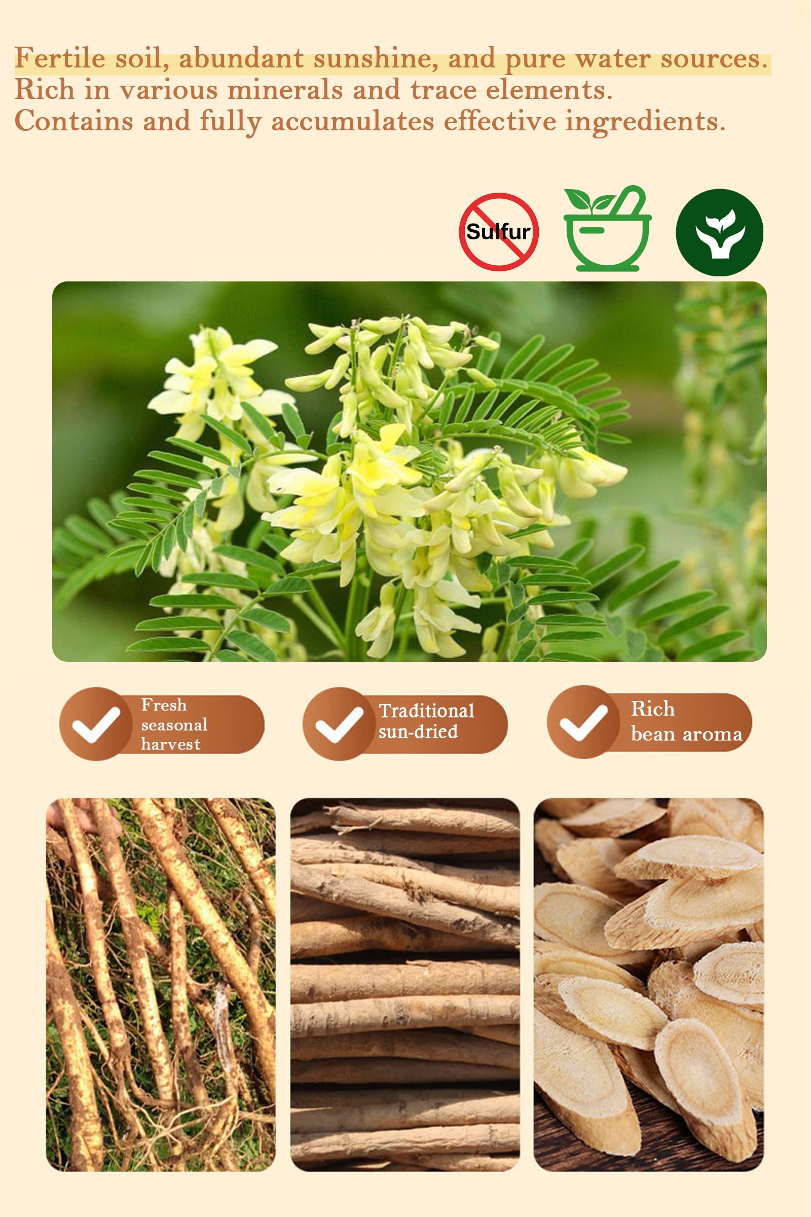 benefits of astragalus in herbal remedies