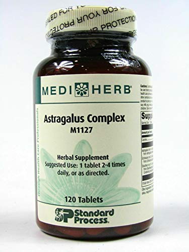 benefits of astragalus root for wellness
