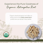 benefits of astragalus root