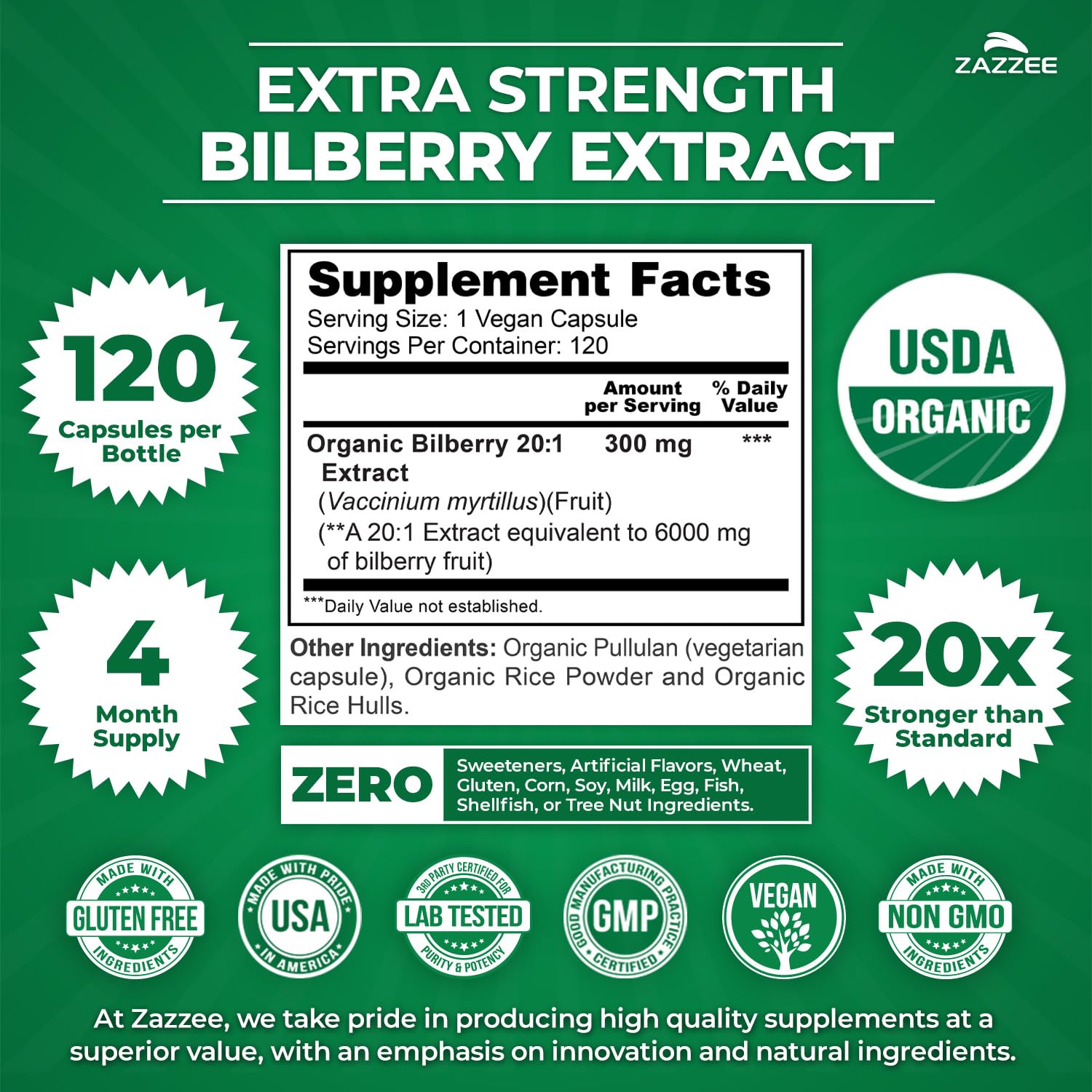 benefits of bilberry for vision support