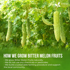 benefits of bitter melon tea