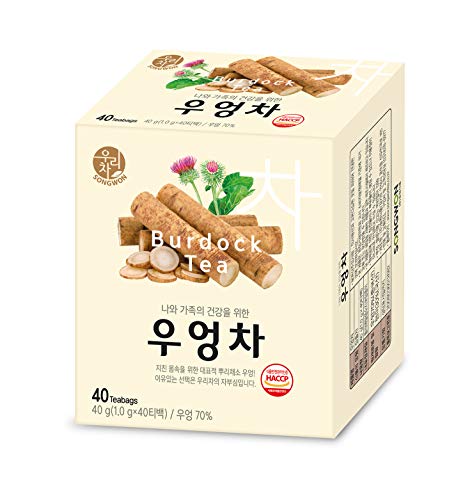 benefits of burdock root tea