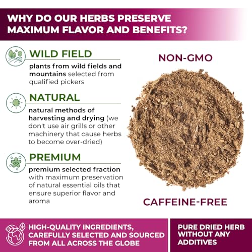benefits of burdock root tea
