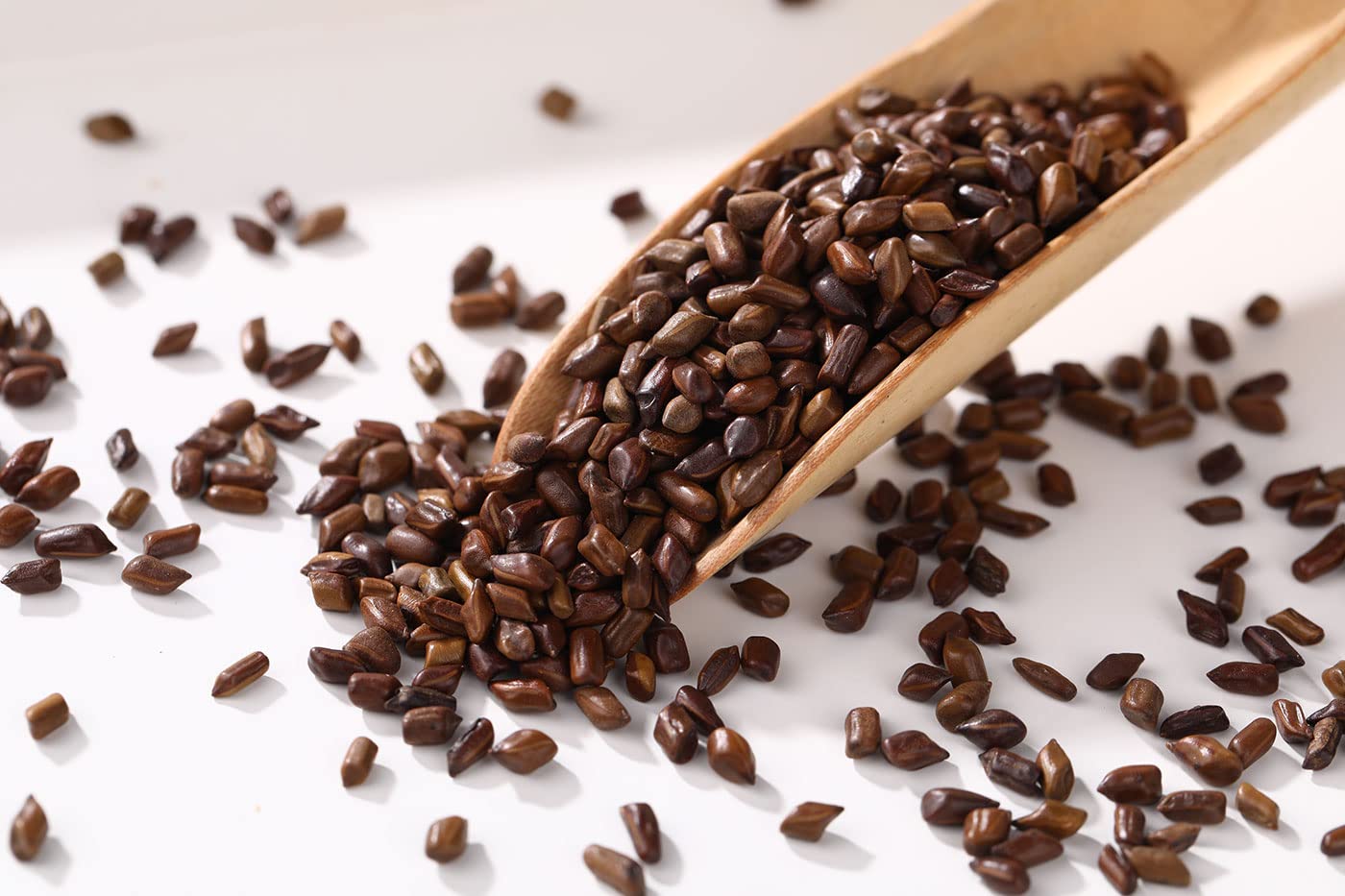 benefits of cassia seed tea