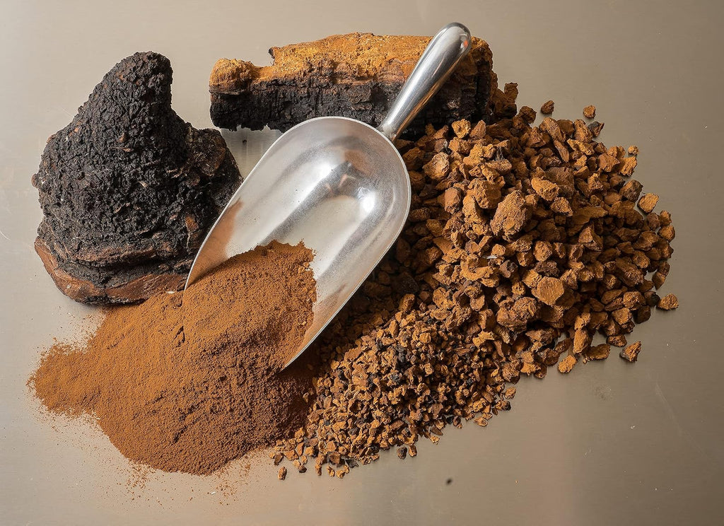 benefits of chaga herbal tea