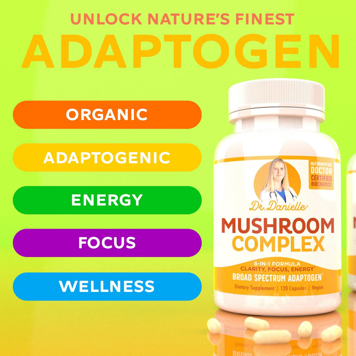 benefits of chaga mushroom extract
