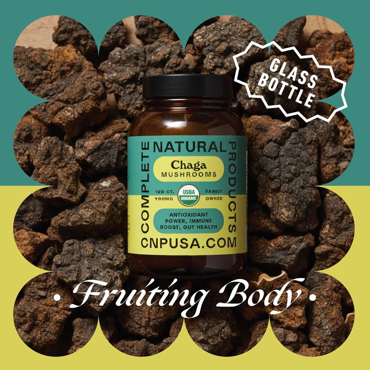benefits of chaga mushroom extract