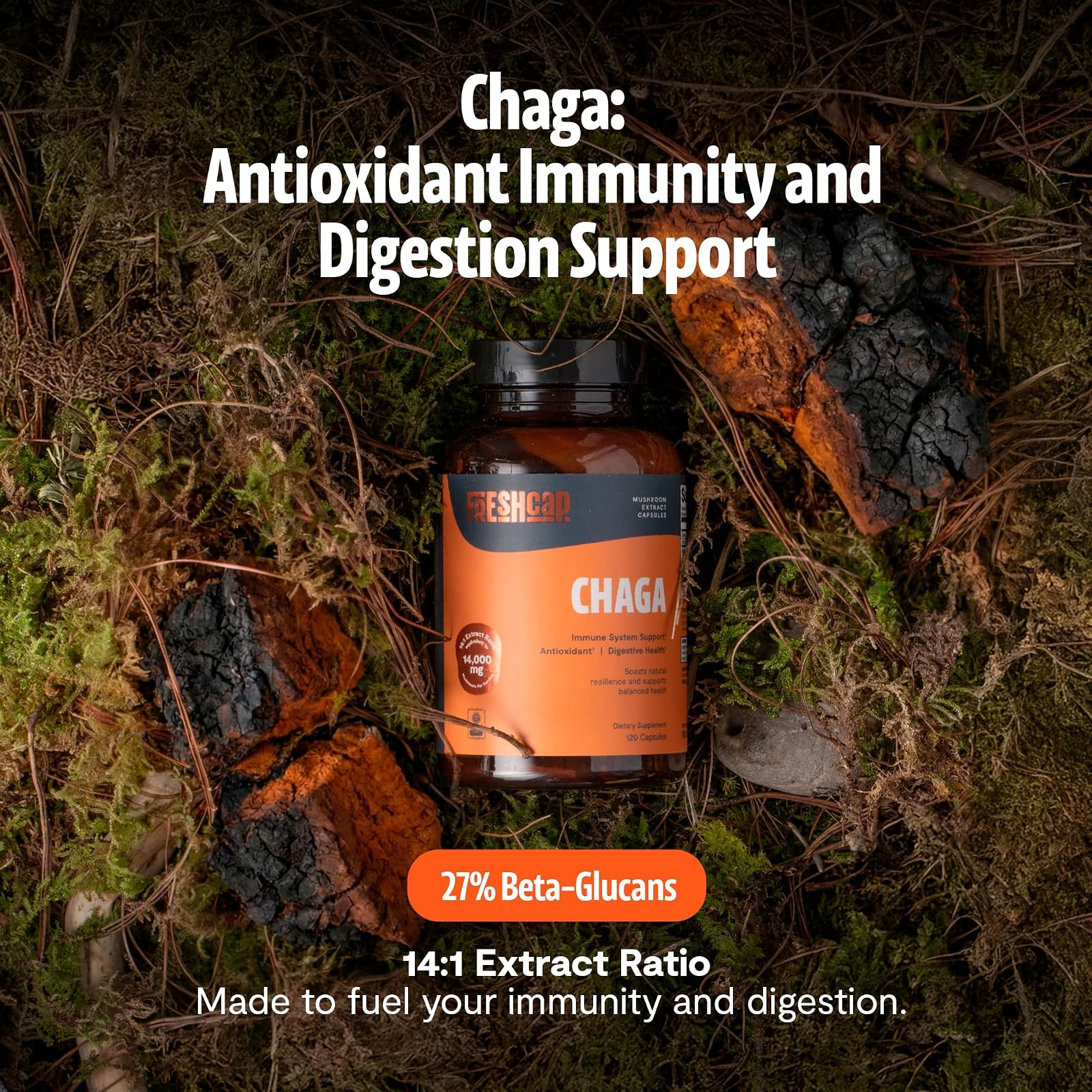 benefits of chaga mushroom supplements