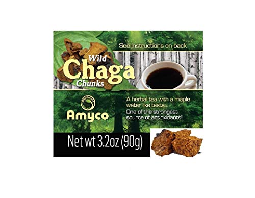 benefits of chaga mushroom tea