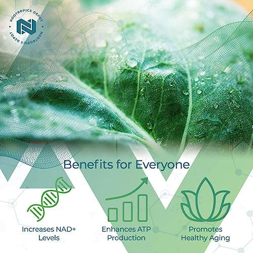 Benefits of chlorella for daily vitality