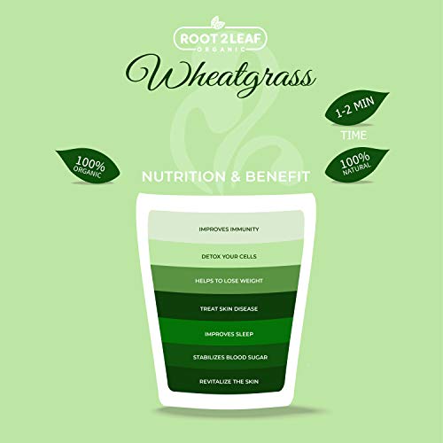 benefits of chlorophyll for women’s health